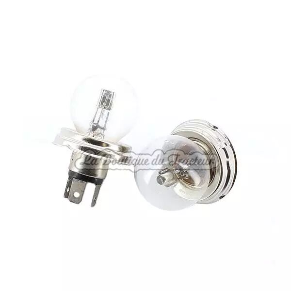 Bombillas codigo european 12V blancas 45/40W