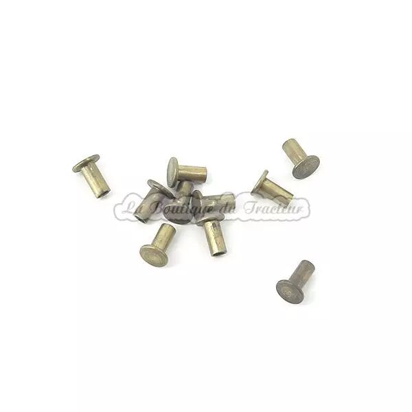 Rivets pour garnitures de frein Renault D16, D22, D30, D35, N70, N71, N72